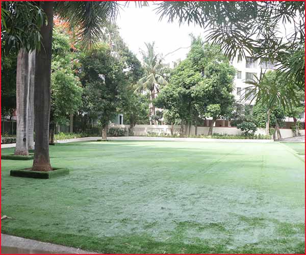 jbludhanigs.com - Home